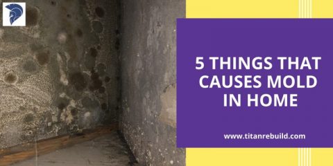 5 Things That Causes Mold in Homes