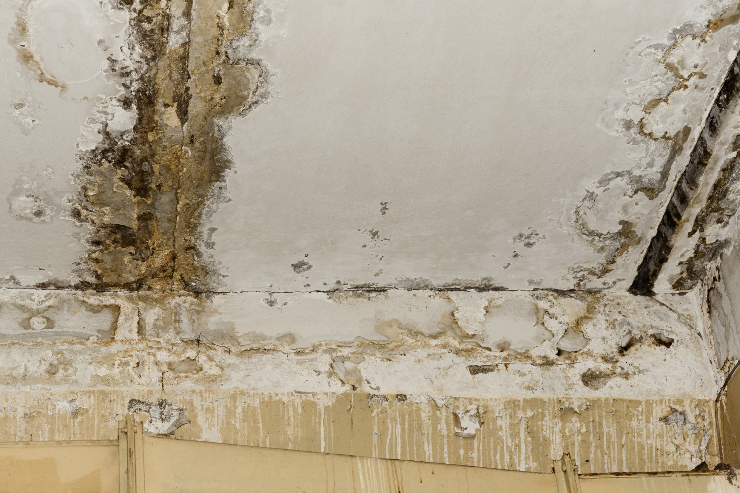 Spotting Hidden Water Damage in Your Home